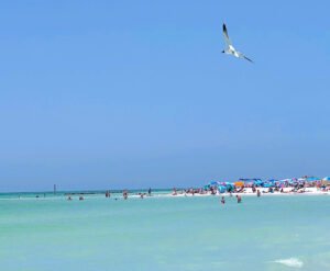 Honeymoon Island: Where Passion and Beauty Embrace