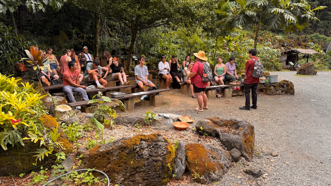 outdoor class – Mellow Wanderer